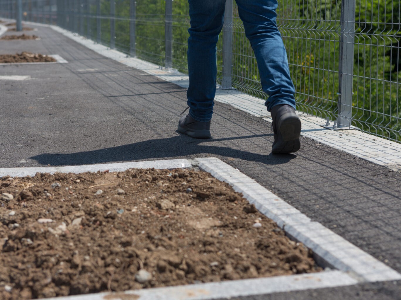 Fa-ne loc la loc! Replantare arbori in alveole si gradini | Bugetare ...